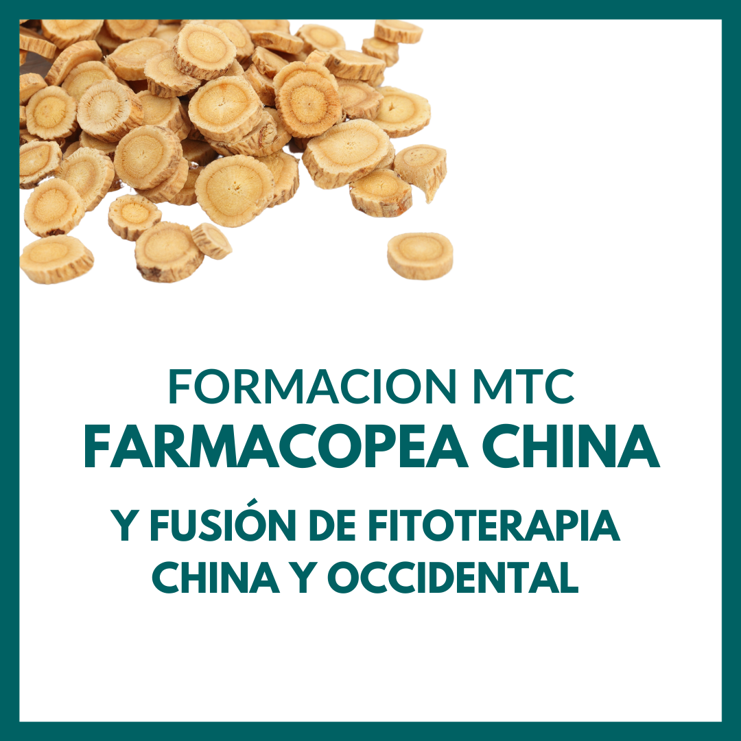 Formación MTC Presencial Barcelona - Tienda Erlingen