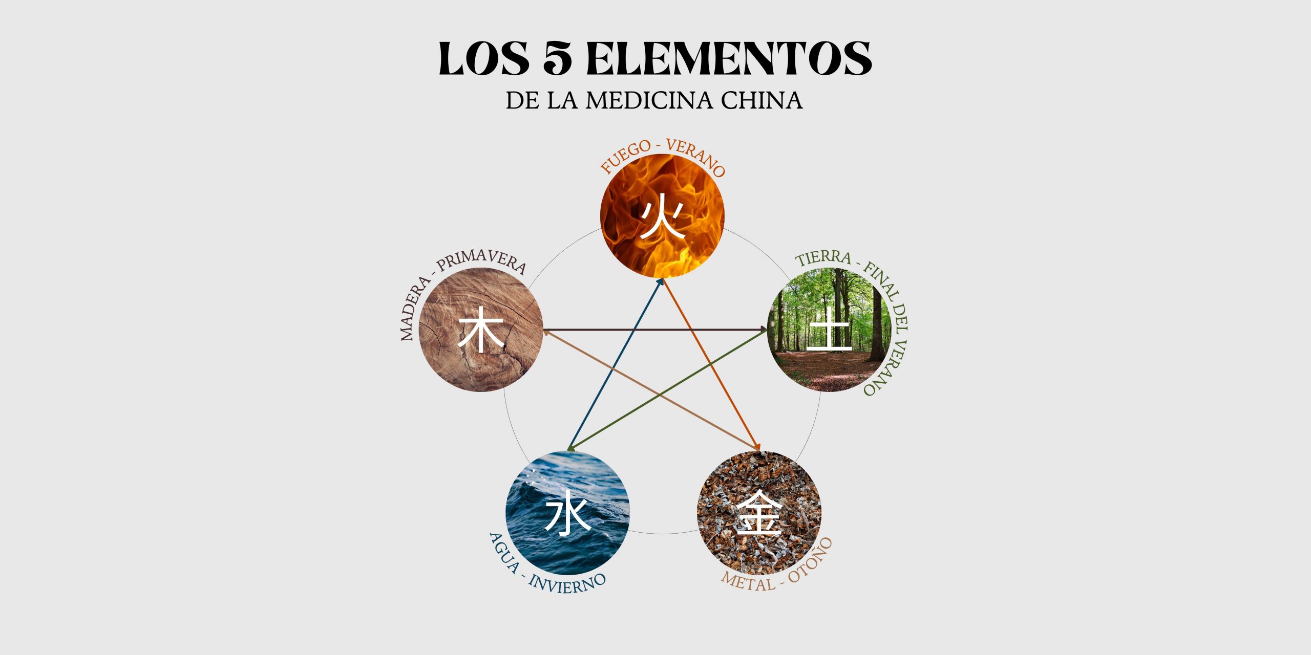 ¿Cuáles Son Los 5 Elementos De La MTC? Guía Completa - Erlingen